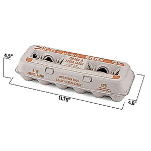 Printed Natural Pulp Egg Cartons Holds Up to Twelve Eggs - 1 Dozen Extra Large - Strong Sturdy Material Perfect For Storing Extra Eggs - by MT Products (25 Cartons) - Made in The USA