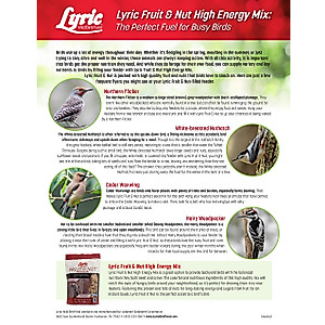 Lyric Fruit and Nut Wild Bird Seed - High Energy Wild Bird Food Mix - Attracts Woodpeckers, Chickadees & Other Songbirds - 5 lb bag