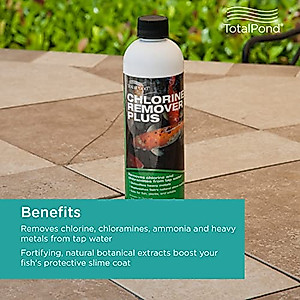 TotalPond A20011 Chlorine Remover Plus, 16-Ounce
