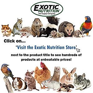 Cage Attachment for Silent Runner Exercise Wheels (Large)