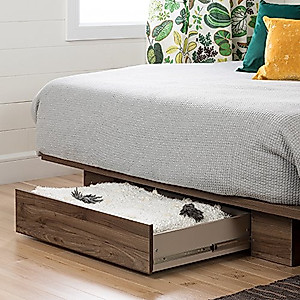 South Shore Holland Platform Bed (54/60''), Full/Queen, Natural Walnut