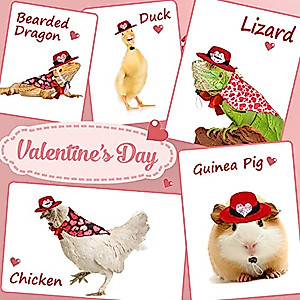 JOTFA 4 Pcs Bearded Dragon Valentine’s Day Costumes, Lizard Valentine’s Day Hats Bandanas Lizard Scarf Valentines Outfits for Bearded Dragon Lizard Hamster Guinea Pig Small Animal