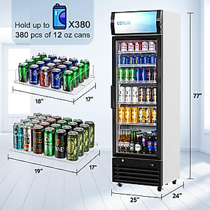 COTLIN Glass Door Merchandiser Refrigerator with LED Lighting, 12.5 cu.ft Commercial Beverage Cooler, Dual-Layer Glass Extra Adjustable Shelves and Drink Organizers, ETL NSF Approved