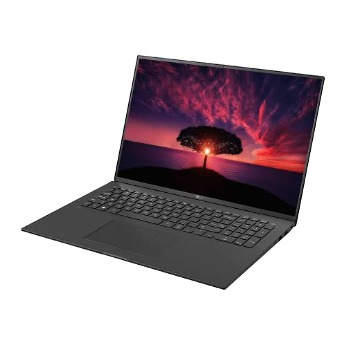 New LG Gram 17” WQXGA Business Laptop, Intel Evo 11th Gen Intel Core i7-1195G7 Processor, Windows 10 Pro, 16GB RAM 1TB SSD,32GB Durlyfish USB Card