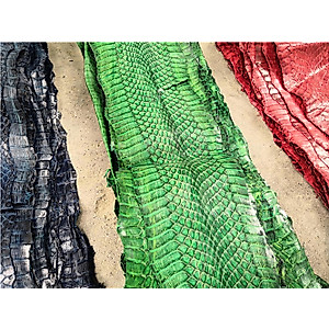 Snake Skin Snakeskin Pieces Assorted Colors Hide Leather Natural 47in (Green)