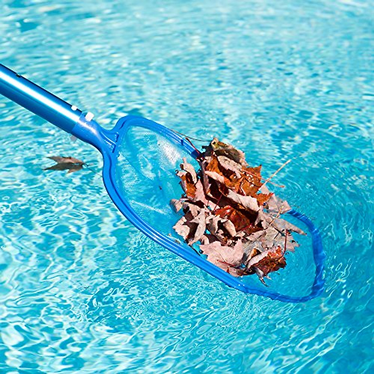 SharkBlu Plastic Pool Skimmer Net with Universal EZ-Clip Attachment for Easy Replacement, Leaf Skim Nets for Cleaning Swimming Pools, Telescopic Pole Not Included, Blue - 17.5 x 11.5 x 1.5 inches