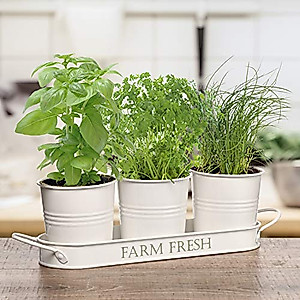 Herb Pots with Tray Set, Indoor Herb Planter, Farmhouse Inspired Decorative Herb Garden Planter with Drain Holes for Healthy Plants, Ideal for Indoor Windowsill