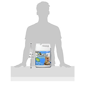 SmartCat Lightweight Clumping Litter, 10 Pound (160oz 1 Pack) - Unscented and Lightweight