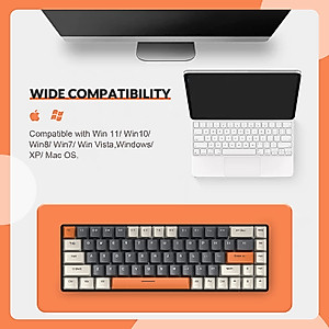 ZIYOU LANG RK-T8 Wired 65% Mechanical Gaming Keyboard with RGB LED Backlit Anti-ghosting TKL Mini 68 Key Custom Coiled C to A Cable Tactile Brown Switch for PS4 PS5 Xbox PC Mac Gamer(White/Dark Gray)