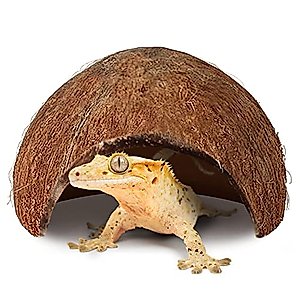 SunGrow Coconut Hut for Crested Gecko, 5x3 Inches Reptile Climbing Hide, Leopard Gecko Tank Cage Habitat Accessories, Smooth-Edged Coconut Shell, for Exercise, Crawling, Perching and Basking Spot
