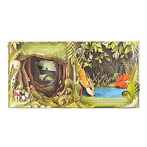 A Walk Through the Woods