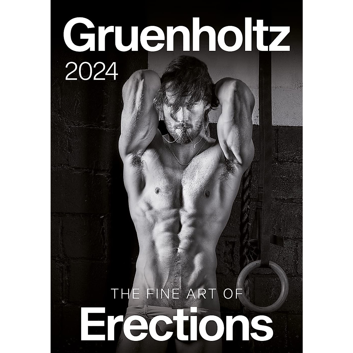 The Fine Art of Erections 2024 (Calendars 2024)