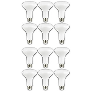 LED TECHNOLOGY EcoSmart 65-Watt Equivalent BR30 Dimmable LED Light Bulb Bright White (12-Pack), 12 Count (Pack of 1)