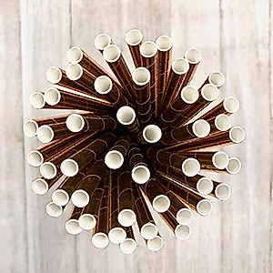 Cactus Theme Paper Straws - Green White Succulents and Gold Foil Drinking Straws - 100 Pack Outside the Box Papers Brand