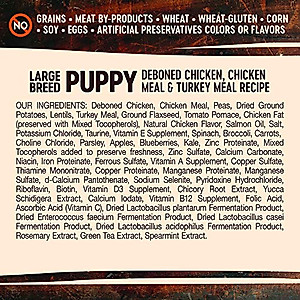 Wellness Natural Pet Food CORE Natural Grain Free Dry Puppy Food, Large Breed Puppy, 24-Pound Bag