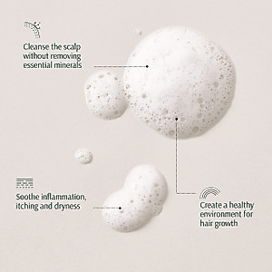 Tara Onion Remedy Strengthening Shampoo. Cruelty-Free: Stimulate and Deeply Cleanse with Lavender, Rosemary and Onion Extracts. Free from Parabens, Sulfates and Mineral Oils (8.4 Fl Oz)