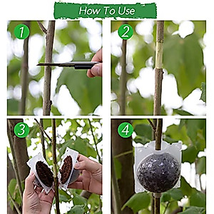 Plant Rooting Grow Propagation Ball,Air Layering kit,Assisted Cutting Rooting,Reusable Plant Rooting Device,High Pressure Ball Grafting Device Root Box for Plants Rose.(8pack)