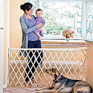 Evenflo Expansion Walk Thru Room Divider Gate