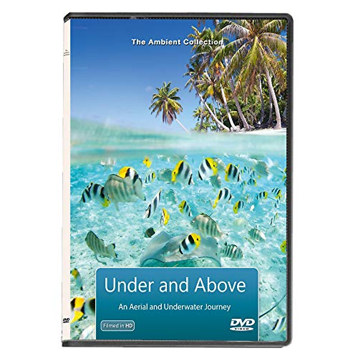 Ocean and Underwater DVD - Under And Above The Pacific Ocean - Fly Over Tropical Paradise - Row over Coral Reefs and Dive With The Turtles