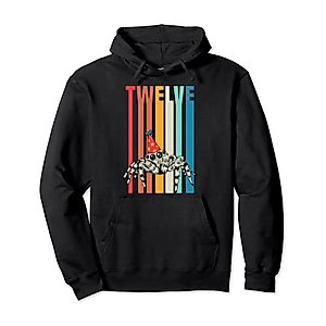 12th Birthday Party Supply Retro Vintage Pet Jumping Spider Pullover Hoodie