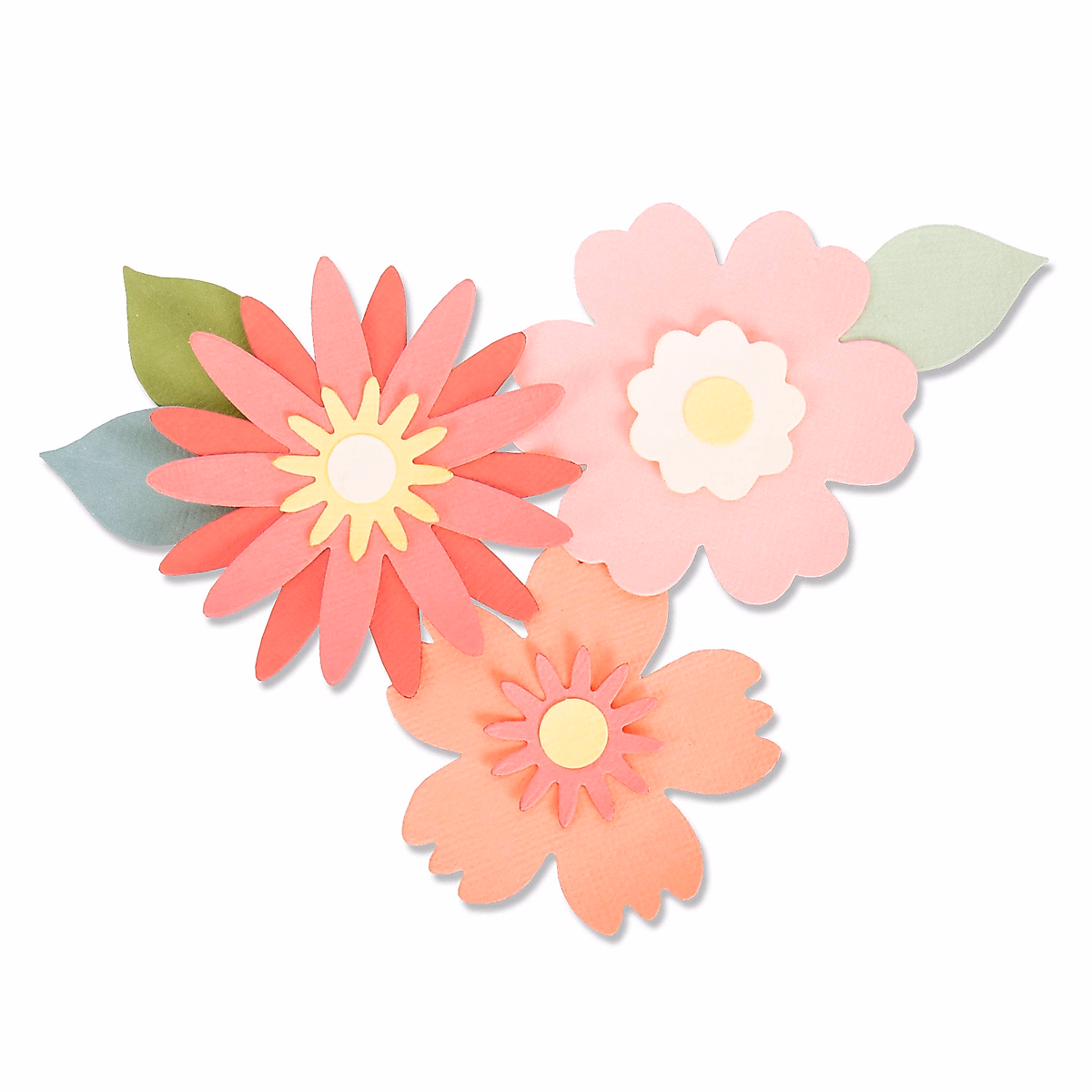 Sizzix Bigz Die , Bold Blossoms by Laura Kate Cutting dies, Multicolor