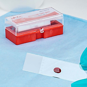 Globe Scientific 1415-10 Cover Glass, 24 x 50mm, No. 1 Thickness (Case of 10)