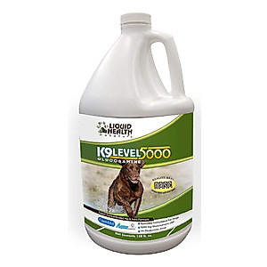 LIQUIDHEALTH 128 Oz K9 Liquid Glucosamine Level 5000 for Dogs, Large Dogs and Breeds - Chondroitin, MSM, – Joint Health Supplements, Dog Vitamins Hip Joint Juice, Dog Joint Oil - 1 Gallon