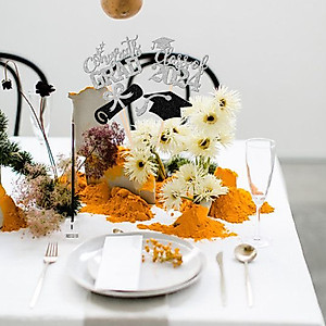 12 PCS 2024 Graduation Centerpiece Sticks Assembled Class of 2024 Congrats Grad Cake Toppers Diploma Graduation Cap Table Flower Centerpiece Sticks for 2024 Graduation Theme Party Supplies Silver