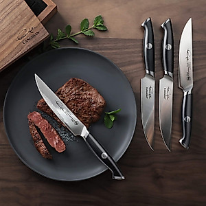 Cangshan Thomas Keller Signature Collection 4-Piece Steak Knife Set, 5-Inch