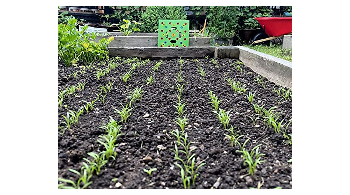 Seeding Square: Maximize Harvest with Easy Seed Sowing