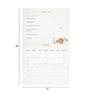 C.R. Gibson BA3-24546 Little One Woodland Gender Neutral Baby's First Year Keepsake Calendar, 11" W x 18" H Open, Multicolor