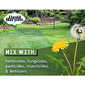 Liquid Harvest Lazer Green Concentrated Spray Pattern Indicator - 8 Ounces - Perfect Weed Spray Dye, Herbicide Dye, Fertilizer Marking Dye, Turf Marker and Herbicide Marker