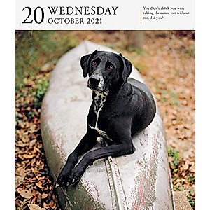 Dog Page-A-Day Gallery Calendar 2021