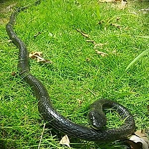 Yoogeer 47 Inches Rubber Lifelike Snakes Scary Gag Gift Incredible Creatures Chain Snakes Rain Forest Snake Toys Wild Life Snakes