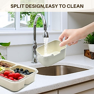 CODIEKEY Snackle Box Container, Dishwasher Safe Snack Box for Adult Kids, 4 compartments Plastic Divided Serving Tray with Lid and Handle for Candy, Fruits, Snacks, Nuts, Small,1 Pack