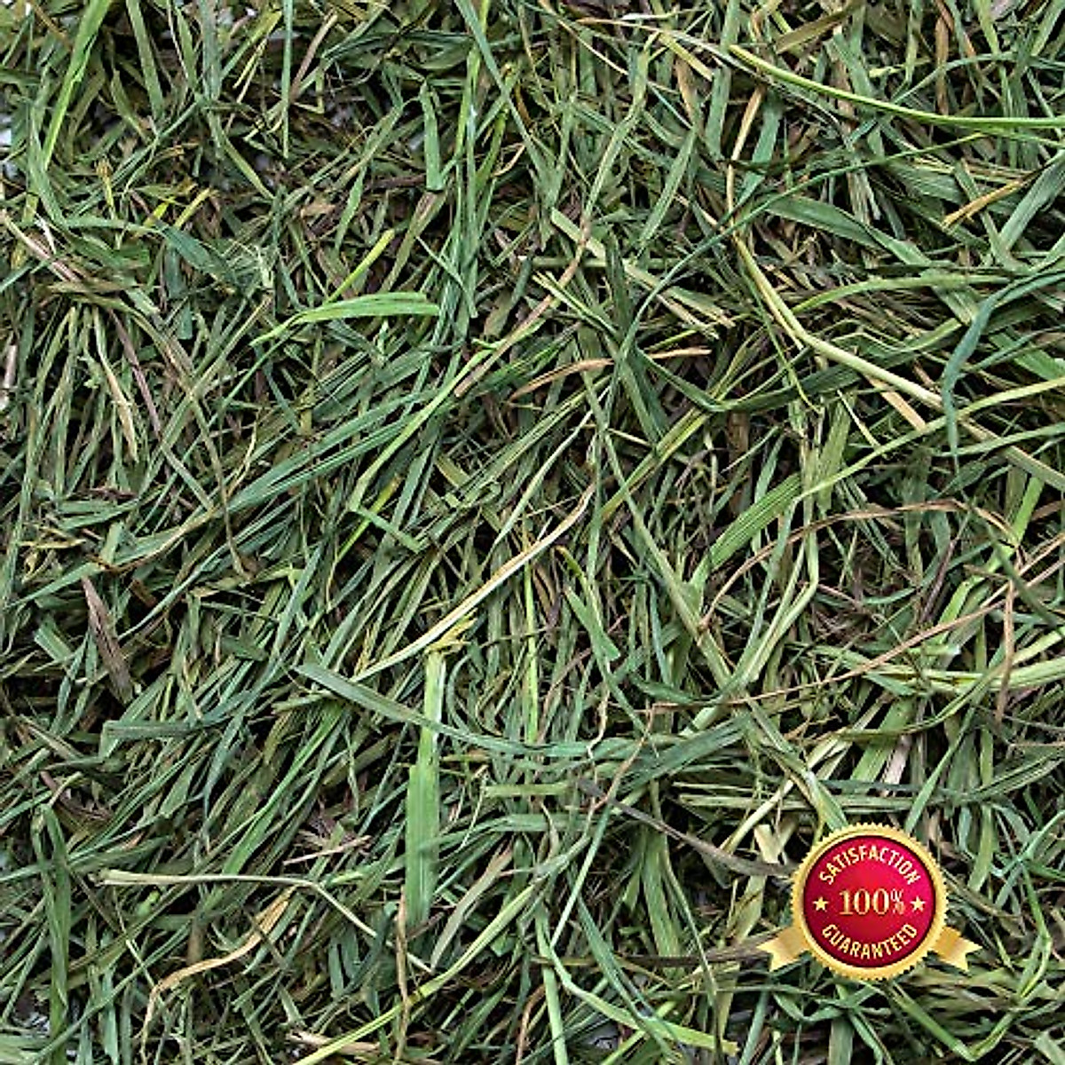 Rabbit Hole Hay Ultra Premium, Hand Packed Soft Timothy Hay for Your Small Pet Rabbit, Chinchilla, or Guinea Pig (24oz)