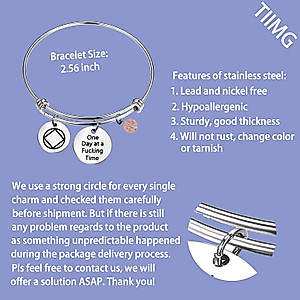 TIIMG One Day at a Time Sobriety Gift Addiction Recovery Gift AA Gift NA Gift 12 Step Gifts Alcoholics Anonymous AA NA Recovery Sobriety Bracelet (One day at a time NA)