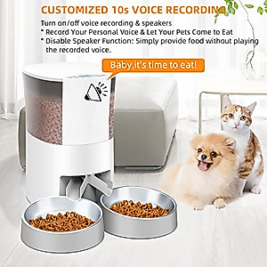 HoneyGuaridan Automatic Cat Feeder for 2 Cats&Dog, Pet Food Dispenser Timed Cat Feeder, Portion Control, Distribution Alarms and Voice Recorder 1-6 Meals per Day - 2 Stainless Steel Bowl