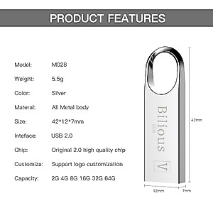 USB Flash Drive, Bilious Portable Keychain Design Thumb Drives Bulk 10 Pack, Metal Style Memory Stick U Disk, Waterproof Jump Pen Drive for Storage and Backup (16GB, 10 Pack)