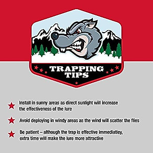 Reusable Trap Fly Jar by Catchmaster - 6 Count, Ready to Use Outdoors. Flying Insect BugTrap, Water Soluble Attract Attractant Scent. Blowfly Trap Captures Hundreds of Common Flies - Made in The USA