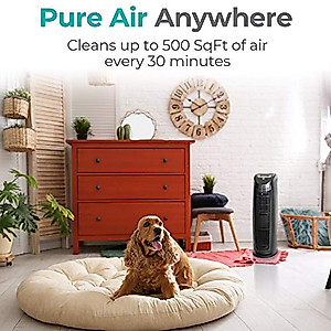 Alen T500 Air Purifier, Quiet Air Flow for Large Rooms, 500 SqFt, Portable Air Cleaner for Allergens, Dust, Pollen, Pet Dander, in Black