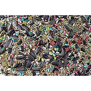 La Cockatiel Sunflower Bird Food 4 Lb