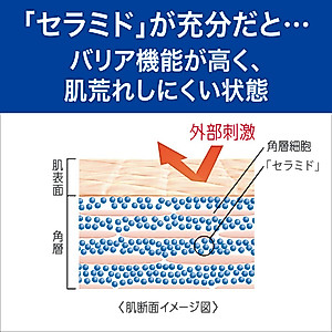 Curel Japan Kao Face Care | Moisture Lotion I Light 150ml