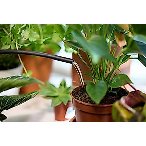 950mL 12-4-8 Liquid All Purpose Fertilizer