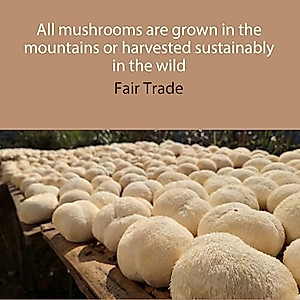 Mushroom Coffee - 36 Servings, Instant Coffee Mix Includes 10 Mushrooms Extract Powder