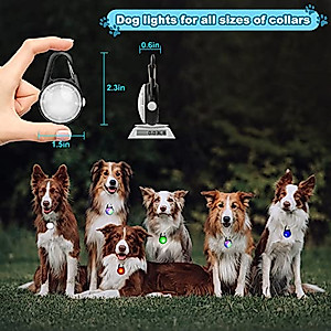4 Modes Dog Lights for Night Walking, IP68 Waterproof Dog Light, High Capacity Rechargeable Dog Collar Lights for Night Time Clip On, Small and Light Dog Collar Light Collars