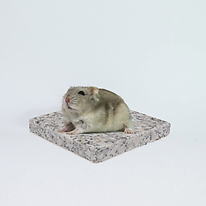 STOBOK 2Pcs Pet Cooling Mat, Granite Material, 9x9cm, Rabbit, Hamster, Chinchilla