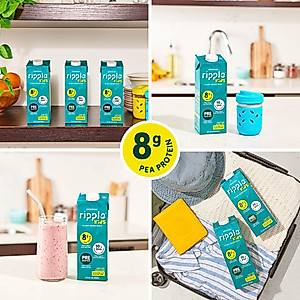 Ripple Non-Dairy Milks | Vegan Milk with 8g Pea Protein | Shelf Stable | Non-GMO. Plant Based, Gluten Free | 32 Fl Oz (Pack of 6) (32 Fl Oz (Pack of 6), Kids)