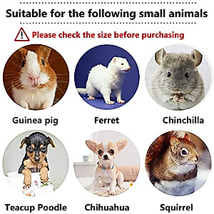 Ferret Harness and Leash - Soft Mesh Small Pet Harness with Wings and Safe Bell, No Pull Comfort Padded Vest for Ferret, Guinea Pigs, Chinchilla and Similar Small Animals (3 Pack)