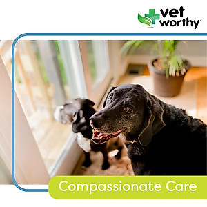 Vet Worthy Senior Multivitamin Chewable for Dogs - Antioxidants and Nutritional Support - Daily Support - Essential Vitamins, Minerals, & Enzymes- Liver Flavor Chewable for Dogs - 60 Tablets